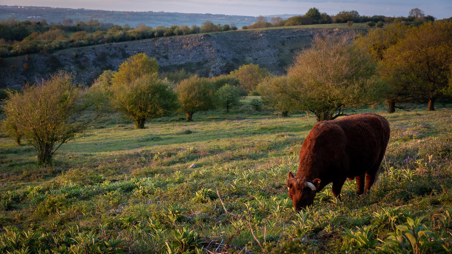 Farming at the Langford Estate